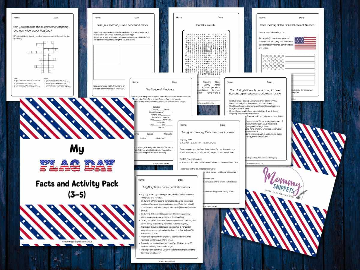 Happy Birthday America Cake: An Easy 4th of July Flag Cake!