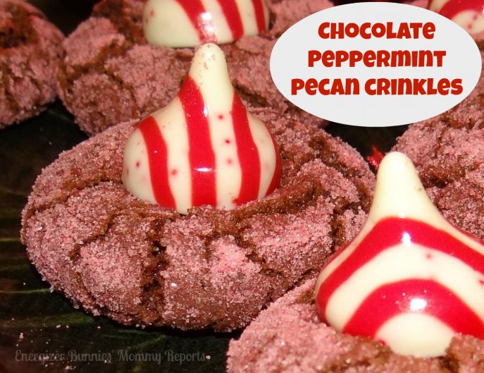 Chocolate Peppermint Pecan Crinkles {Delicious Christmas Cookies!}