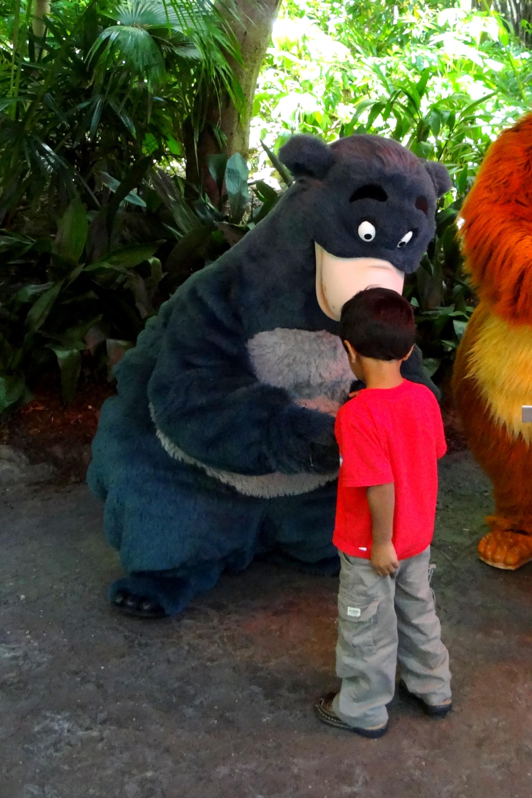 "My son is missing!"...and what Disney did.