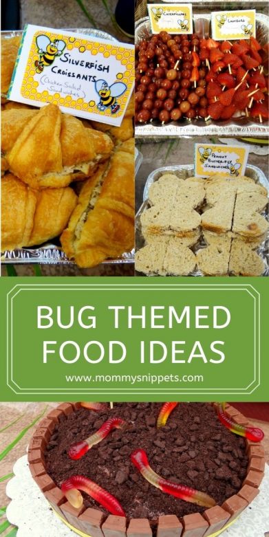 My Favorite Bug Themed Party Food Ideas for a Bug Party!