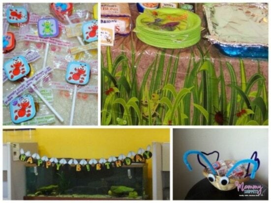 Tips on Throwing a Fun Insect Party - My Easy Bug Party Ideas!