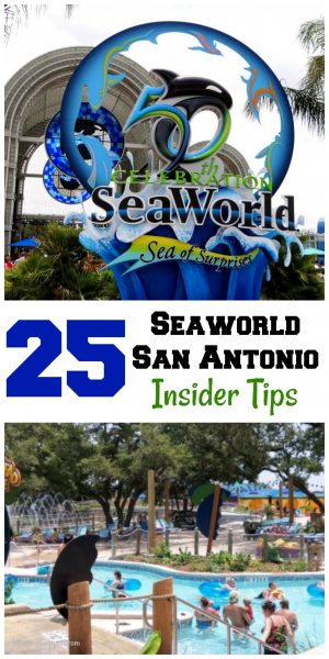 25 of the Best SeaWorld San Antonio Tips for Your Next Visit