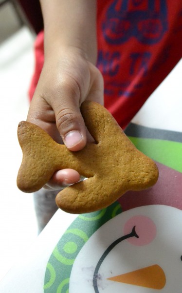 How to Make Gingerbread Plane { A Gingerbread Airplane Recipe}