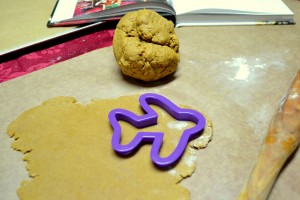 How to Make Gingerbread Plane { A Gingerbread Airplane Recipe}