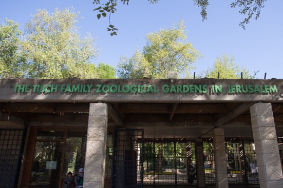 Jerusalem Biblical Zoo - Israel for Families - Mommy Snippets