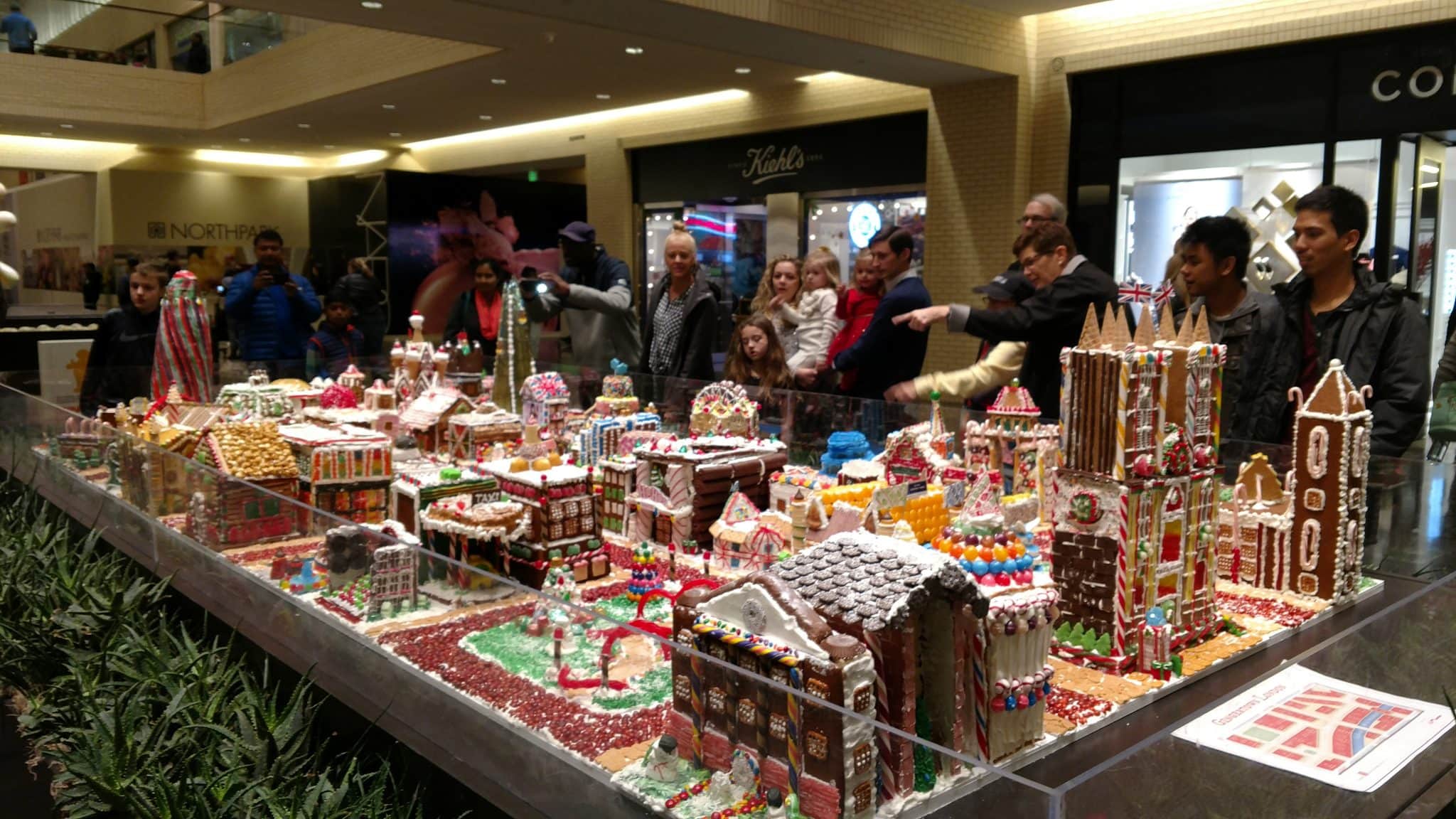 Explore these Winter Weather Attractions in Dallas