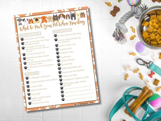 The Best Dog Travel Accessories + Free Printable Dog Packing List