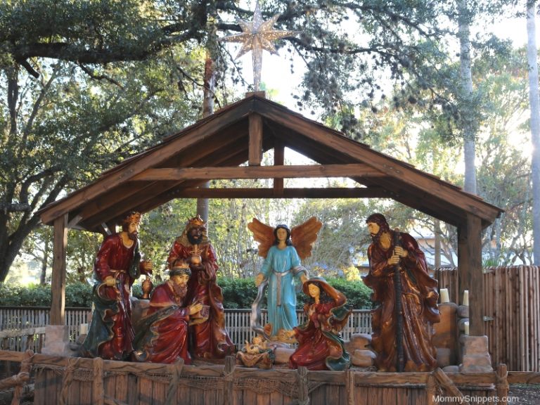 Celebrating the Christmas season at SeaWorld San Antonio ( A Photo ...