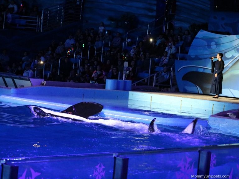 Surprise the kids with SeaWorld's Christmas Traditions Tour