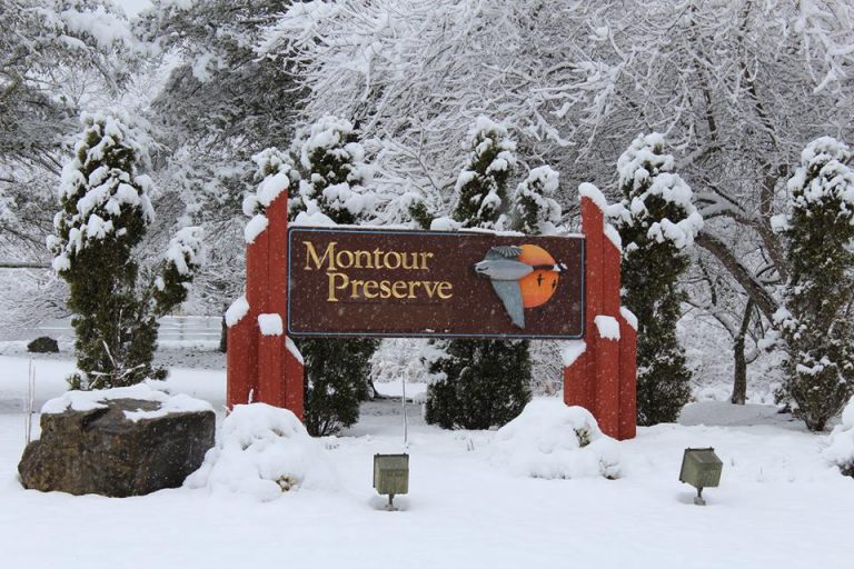 5 Awesome Winter Attractions in Pennsylvania You Can’t Miss