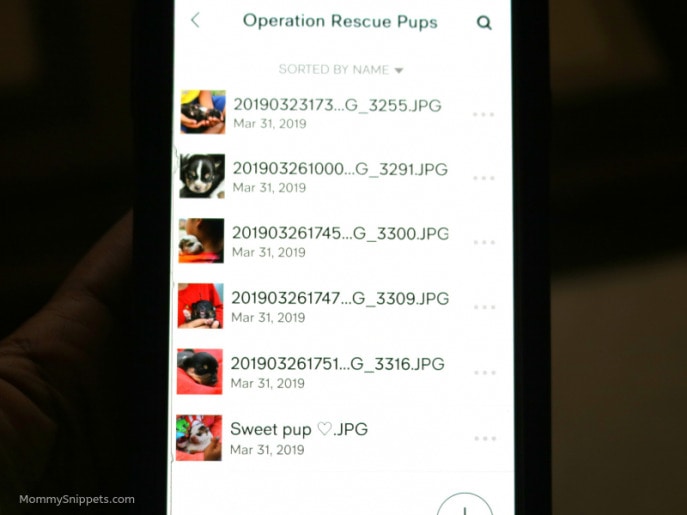 The best way to share photographs with family and friends