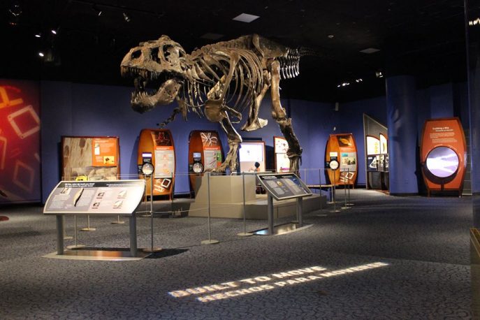 The Best Family-Friendly Places to visit in San Diego, California ...