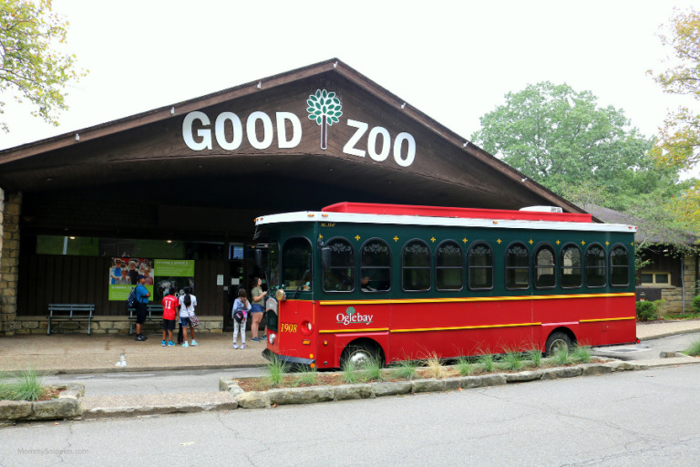 An unforgettable behind-the-scenes tour at Oglebay Zoo (Part 1)