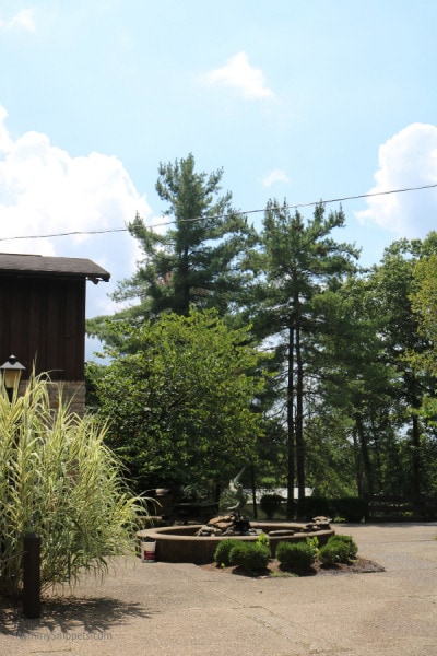 Explore, and engage with the wild at The Good Zoo (Part 2)