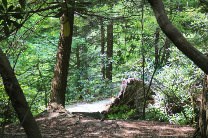 Greater Morgantown is the place to have MORE! family fun