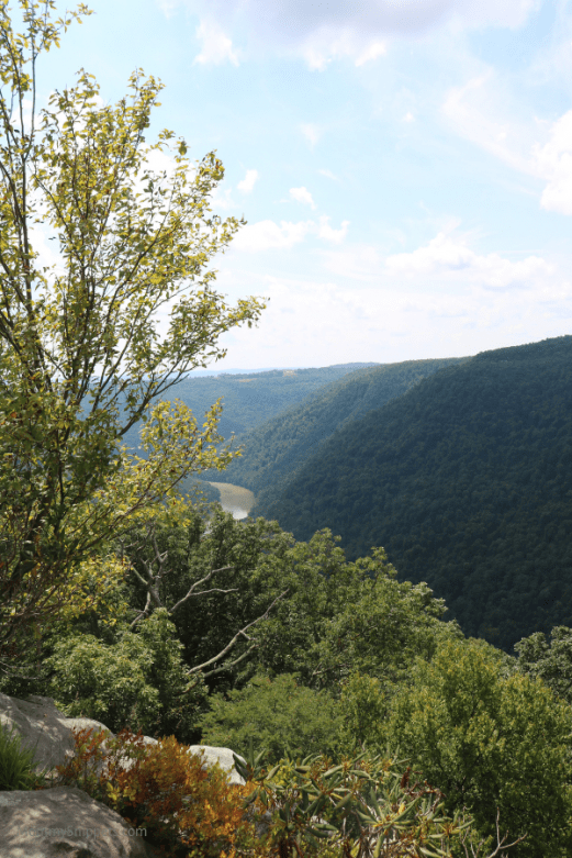 The breathtaking Coopers Rock State Forest - Mommy Snippets