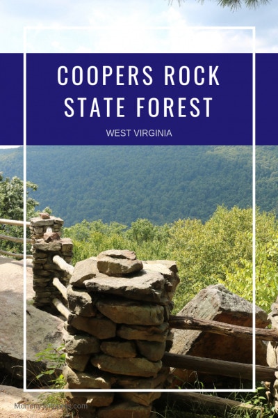 The breathtaking Coopers Rock State Forest - Mommy Snippets