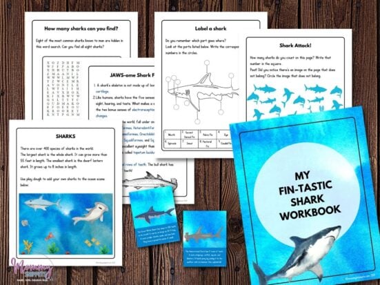 A Shark Facts Activity Workbook- A Mini Sharks Unit Study for Kids