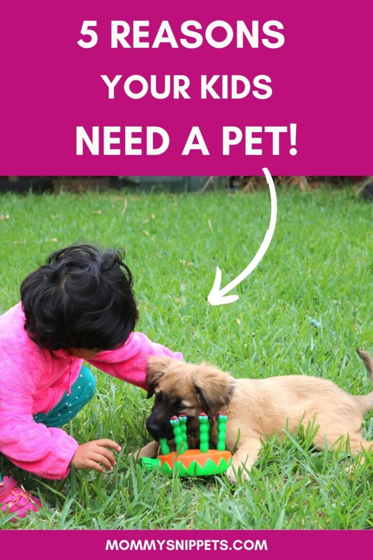 5 Reasons Why It's Important Your Kids Have Pets While Growing Up