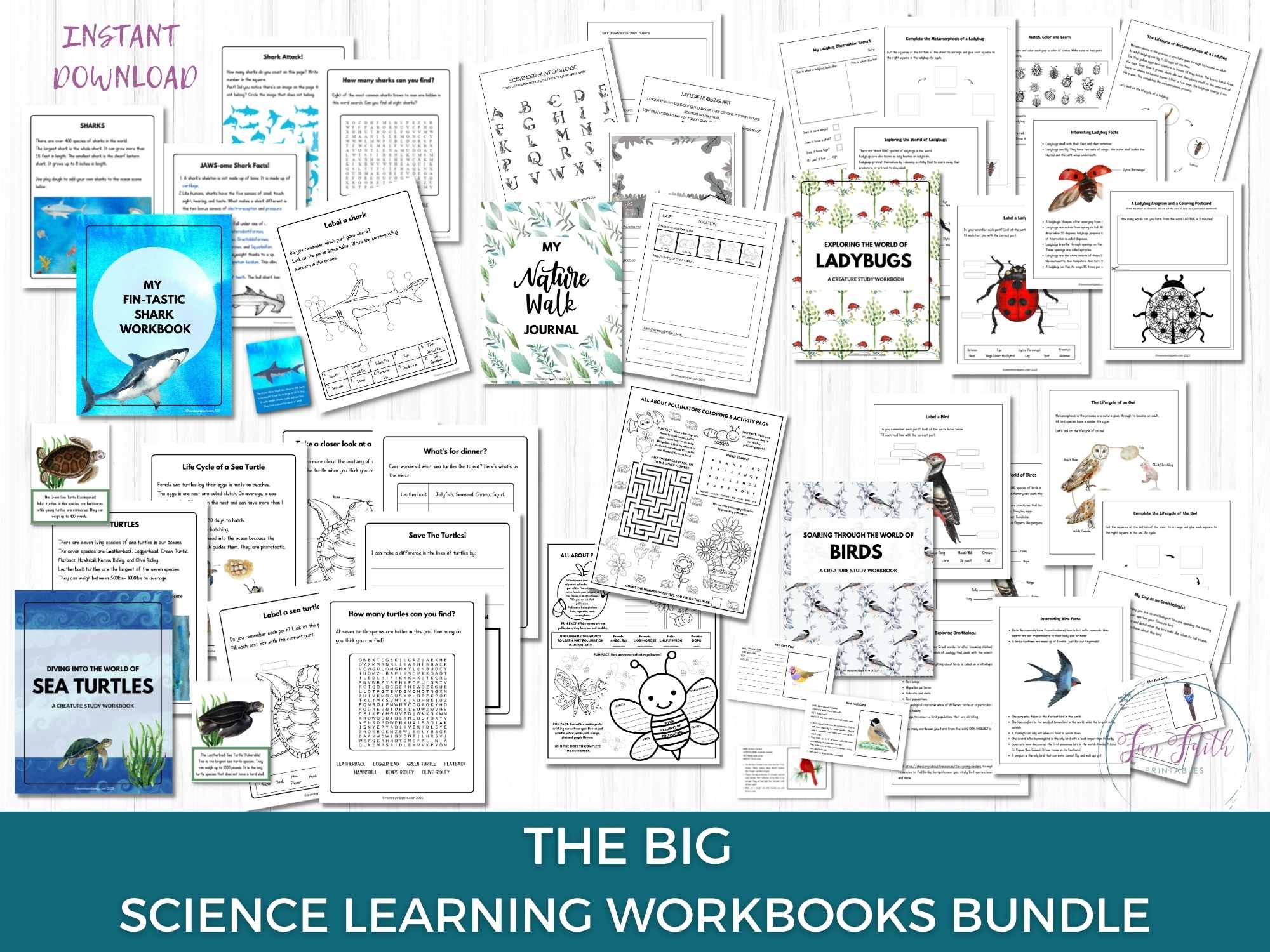 A Big Science Learning Pack, Homeschooling Workbooks Bundle for Kids