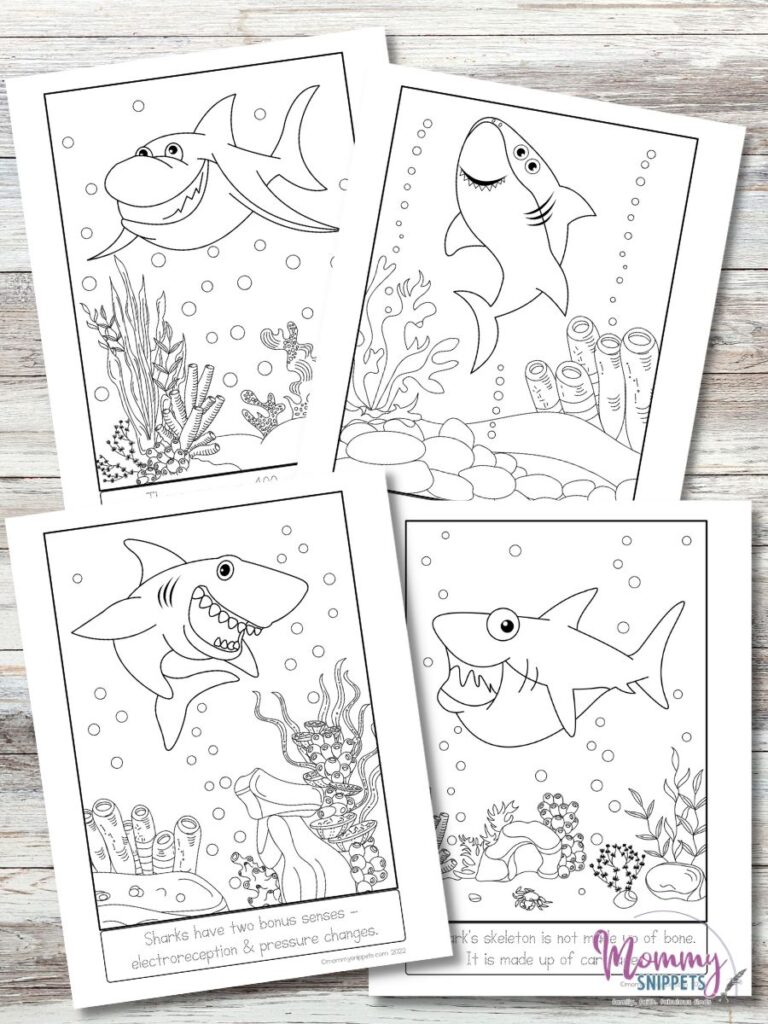 Free Shark Printables- Shark Coloring Pages and MORE!