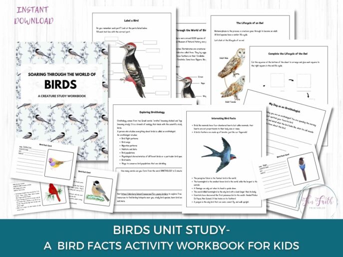 A Big Science Learning Pack, Homeschooling Workbooks Bundle for Kids