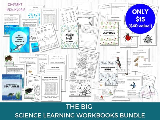 A Big Science Learning Pack, Homeschooling Workbooks Bundle for Kids