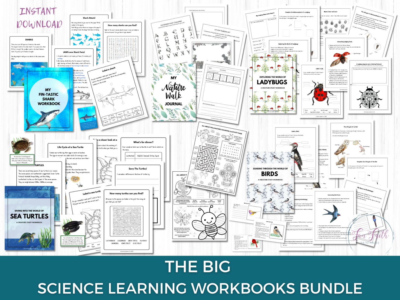 A Big Science Learning Pack, Homeschooling Workbooks Bundle for Kids