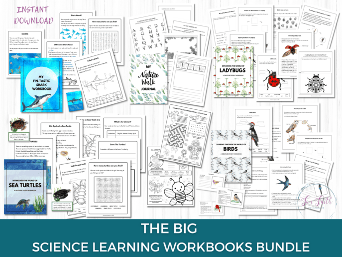 A Big Science Learning Pack, Homeschooling Workbooks Bundle for Kids