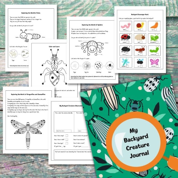 The Printable A-Z Animal Research Project Journal Your Kids Will Love!
