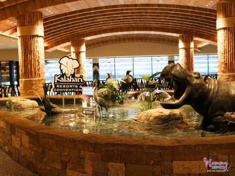 20 of the Best Kalahari Resorts-Round Rock Tips (+Photos!)