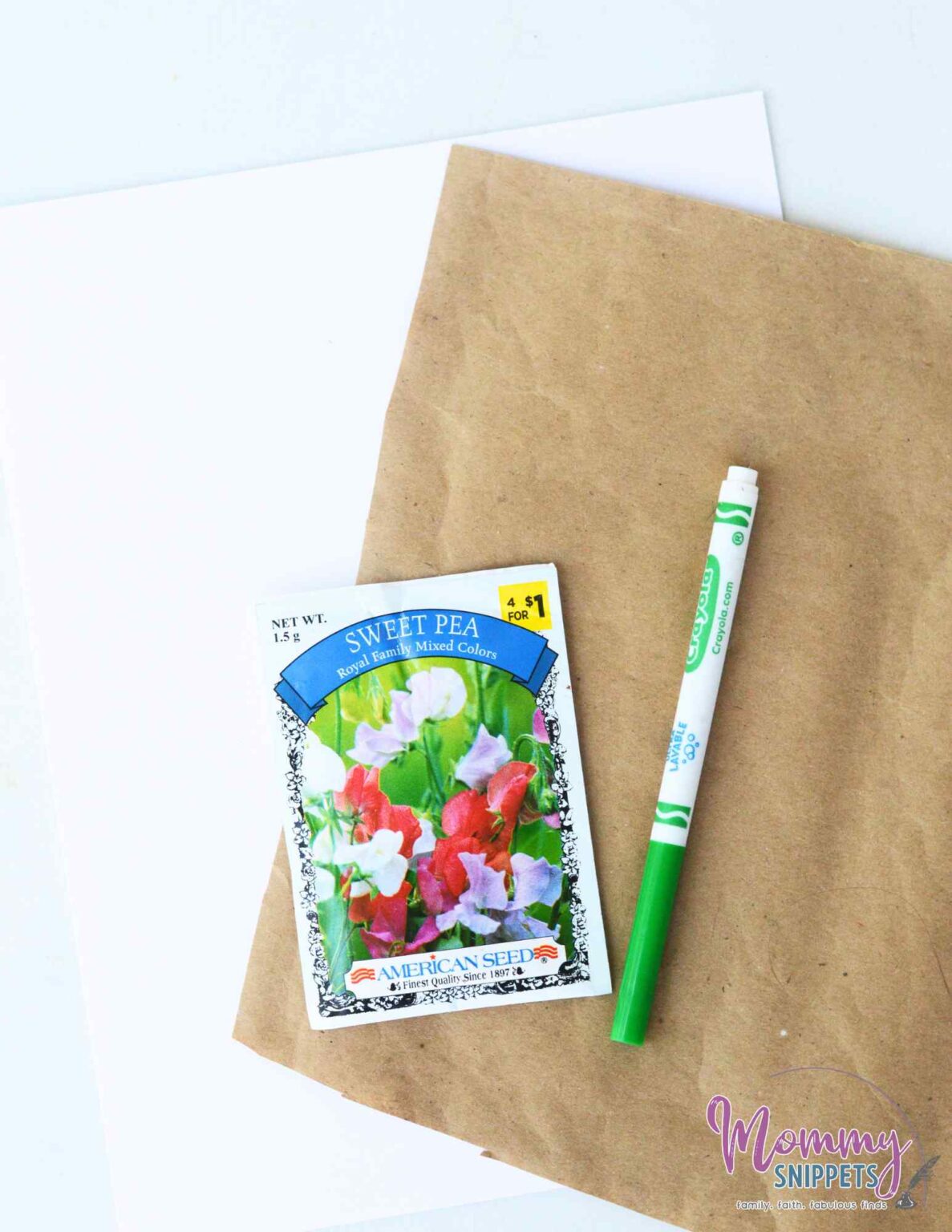 Parable of the Sower Lesson Craft for Kids - Mommy Snippets