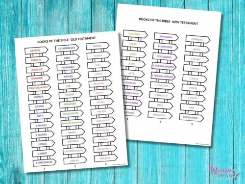 66 Books of the Bible Printable + A Books of the Bible Craft Game